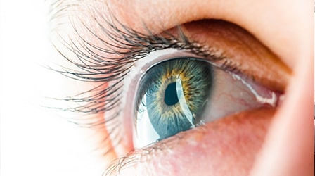 iTrace Academic & Clinical Studies | Tracey Technologies